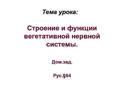 Тема урока Строение и функции вегетативной нервной системы