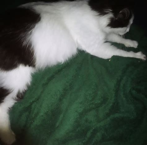 Of Course Album On Imgur