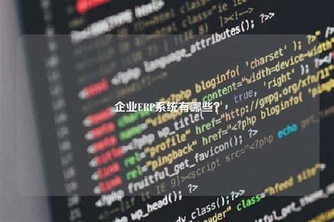 企业erp系统有哪些？ 鲸选erp
