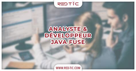 Analyste And Developpeur Java Fuse Red Tic