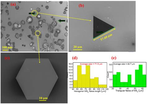 A C Fesem Micrographs Of The Ws2 Layers Grown On Si Sio2 Substrate At