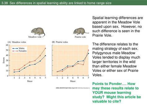 Ppt Biology 484 Ethology Powerpoint Presentation Free Download Id 5878665