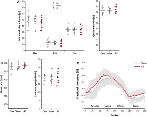 Left Ventricular Function A B Global Left Ventricular Volumes