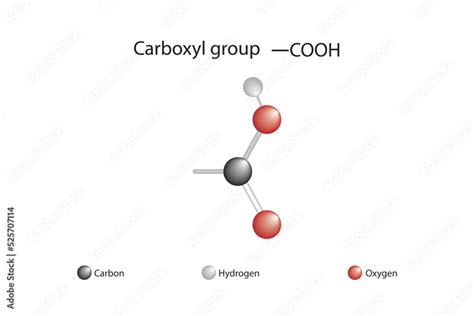 Molecular Formula And Chemical Structure Of Carboxyl Group Stock Vector Adobe Stock