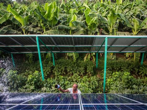 Tackling Global Water Scarcity Pumping Innovation Takes Center Stage Yami Solar Pump