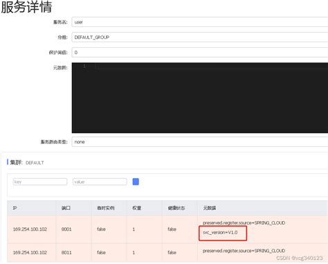 10 Nacos 灰度发布配置nacos灰度发布 Csdn博客