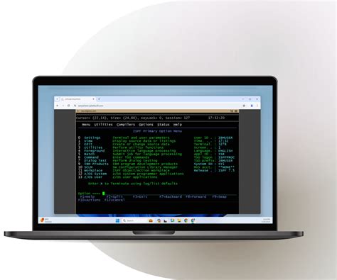 Access Ibm Z Mainframe From Any Device Z Scope Tn3270