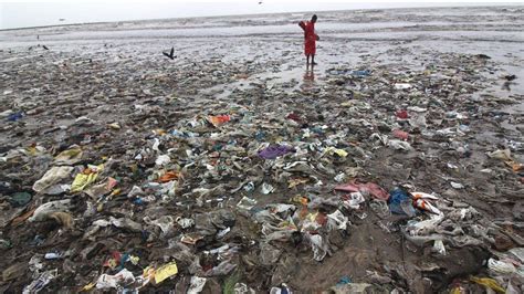 Plastic Pollution Take Out Food Is Littering The Oceans Bbc News