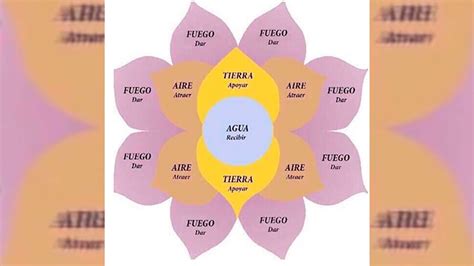 Megaestafa Con El Método De La Flor De La Abundancia Una Riojana Se