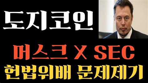 도지코인 긴급 일론머스크 헌법위배 문제제기한 상황 Sec 야단났다 도지코인목표가 도지코인전망 도지코인 Youtube