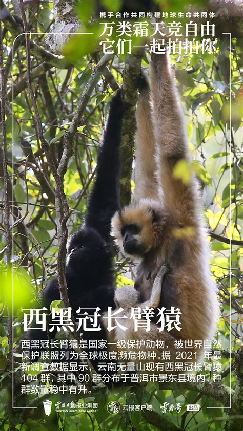 “它们一起拍拍你”：携手构建地球生命共同体 第一产业网