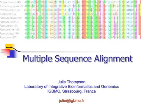 Ppt Multiple Sequence Alignment Powerpoint Presentation Free