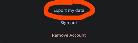 What Does “export My Data” Option Actually Do Rcharacterai