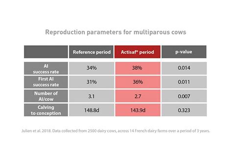 Improve Dairy Cows Fertility Phileo By Lesaffre