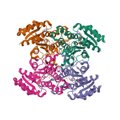 RCSB PDB CFC Structural Basis For Stereo Selectivity In The R And S