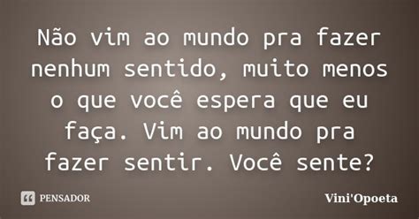 Não Vim Ao Mundo Pra Fazer Nenhum Vini Opoeta Pensador