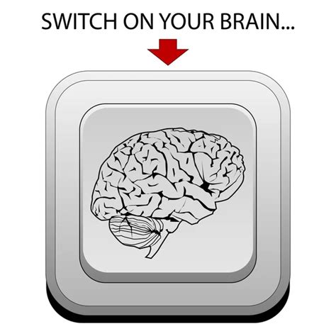 Brain Switch Vector Images Depositphotos