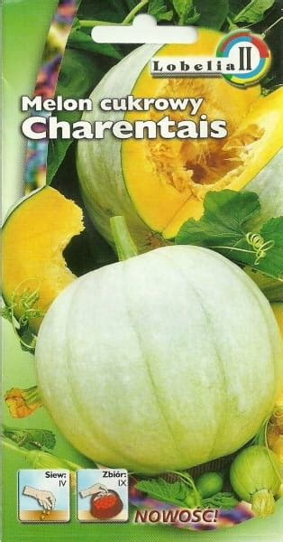 Melon Cukrowy Charentais G L Cena Opinie Warzywa Allegro