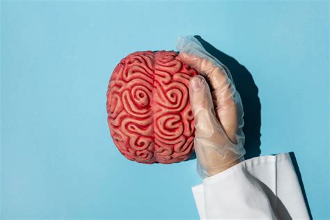Breakthrough In Brain Tissue Preservation An Economical Whole Brain
