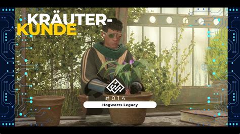 Hogwarts Legacy 014 Kräuterkunde YouTube