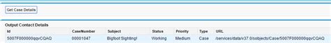 Apex Call The Rest Api On The Visualforce Page Load Salesforce