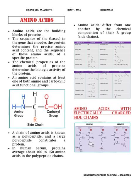 Amino Acids Building Blocks Of Proteins Pdf Amino Acid Proteins
