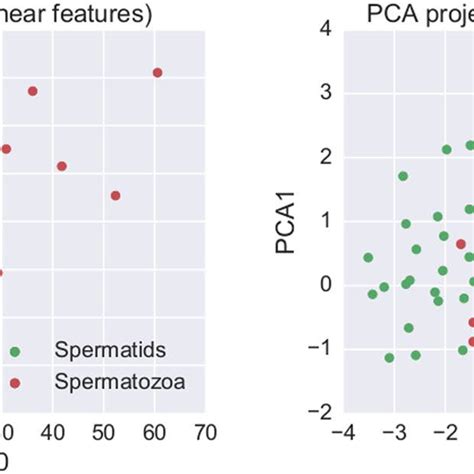 Pca Projection Projection Of The Seven Morphological Features Onto Its