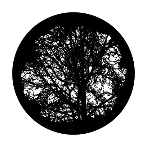 Bandw Gobo Mature Tree