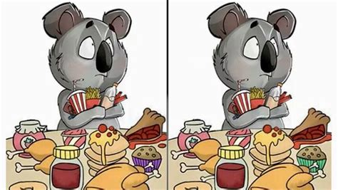 12 отличий на картинке найдут только люди с Iq выше 140 Питомцы Mail