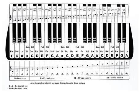 PDF Harta Clape Si Basi La Acordeon Pt Incepatori DOKUMEN TIPS