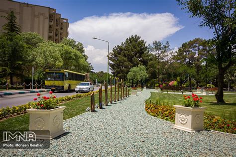 «پیرایش شهری کلید بهبود سیما و کیفیت زندگی در شهرها ایمنا