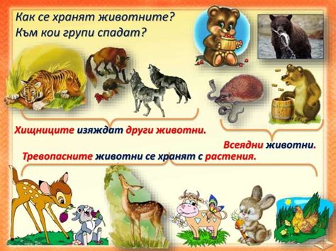 19 Жизнени процеси при растенията и животните Жизнени процеси ЧП 4