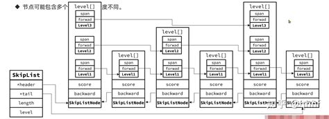 Redis的zset底层数据结构，zset类型全面解析 知乎