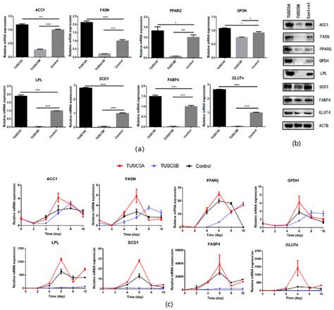 Quantification Of Gene Expression Before And After Cell Download