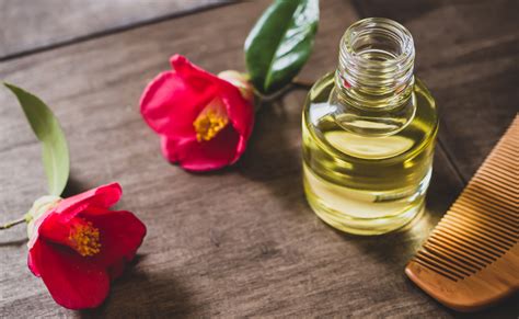 Unlock The Natural Skin Benefits Of Camellia Seed Oil Professional