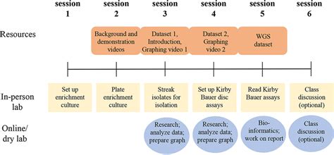Timeline For Activities In The In Person Lab Or The Online Or Dry Lab Download Scientific