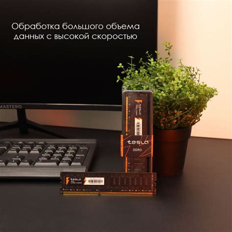 Модуль оперативной памяти Tesla 8 ГБ Ddr3 Pc12800 1600 Mhz Cl 11 Tsld3