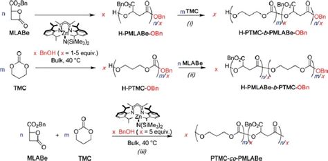 Scheme 2 Schematic Representation Of The Syntheses Of Pmla B Co Ptmc