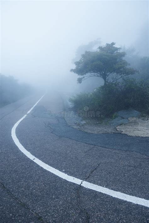 Misty Country Road Stock Image Image Of Light Evening 65583719