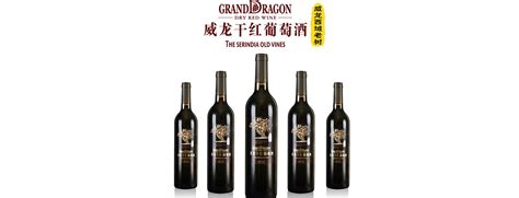 威龙 威龙 GrandDragon