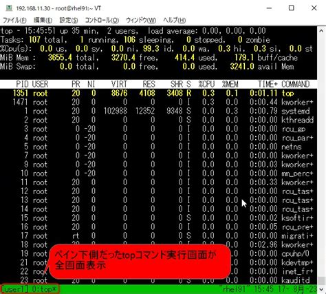【画像解説】tmuxのペイン画面分割で同時入力しながら利用する方法 ほそぼそ話