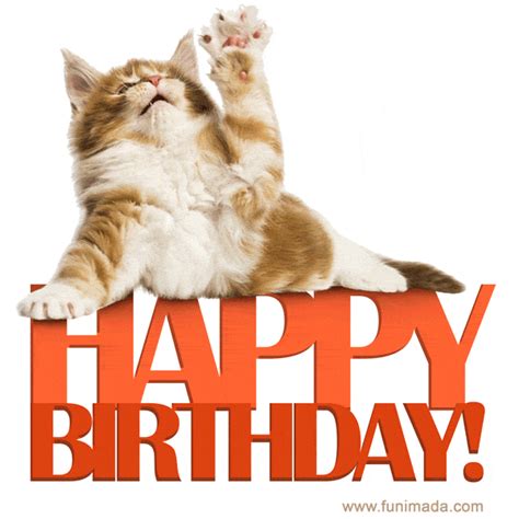 Funny Happy Birthday Gif Images For Whatsapp Infoupdate Org