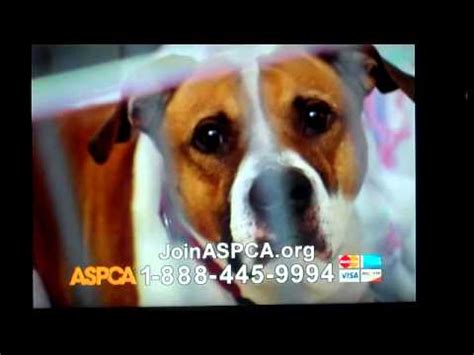 Sad ASPCA Commercial May 2012 Roberta Flack First Time Ever Saw Your