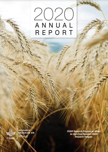 International Maize And Wheat Improvement Center CIMMYT CGIAR