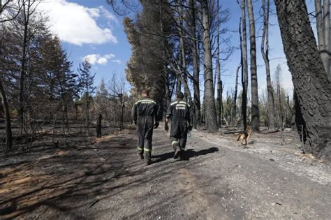 Avances En El Combate Del Incendio En El Bolsón Diario El Cordillerano