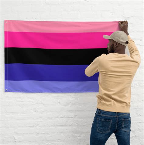 Omnisexual Flag Proud Lgbt 🏳️‍🌈