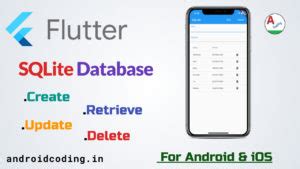 Flutter Sqlite Tutorial Sqflite Local Database
