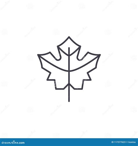 Línea Concepto De La Hoja De Arce Del Icono Muestra Plana Del Vector De