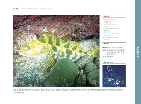 세밀화로 본 독도의 해양생물