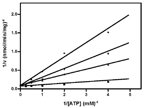Kinetic Analysis Of Atp Hydrolysis By Arsa In The Presence Of Atps The